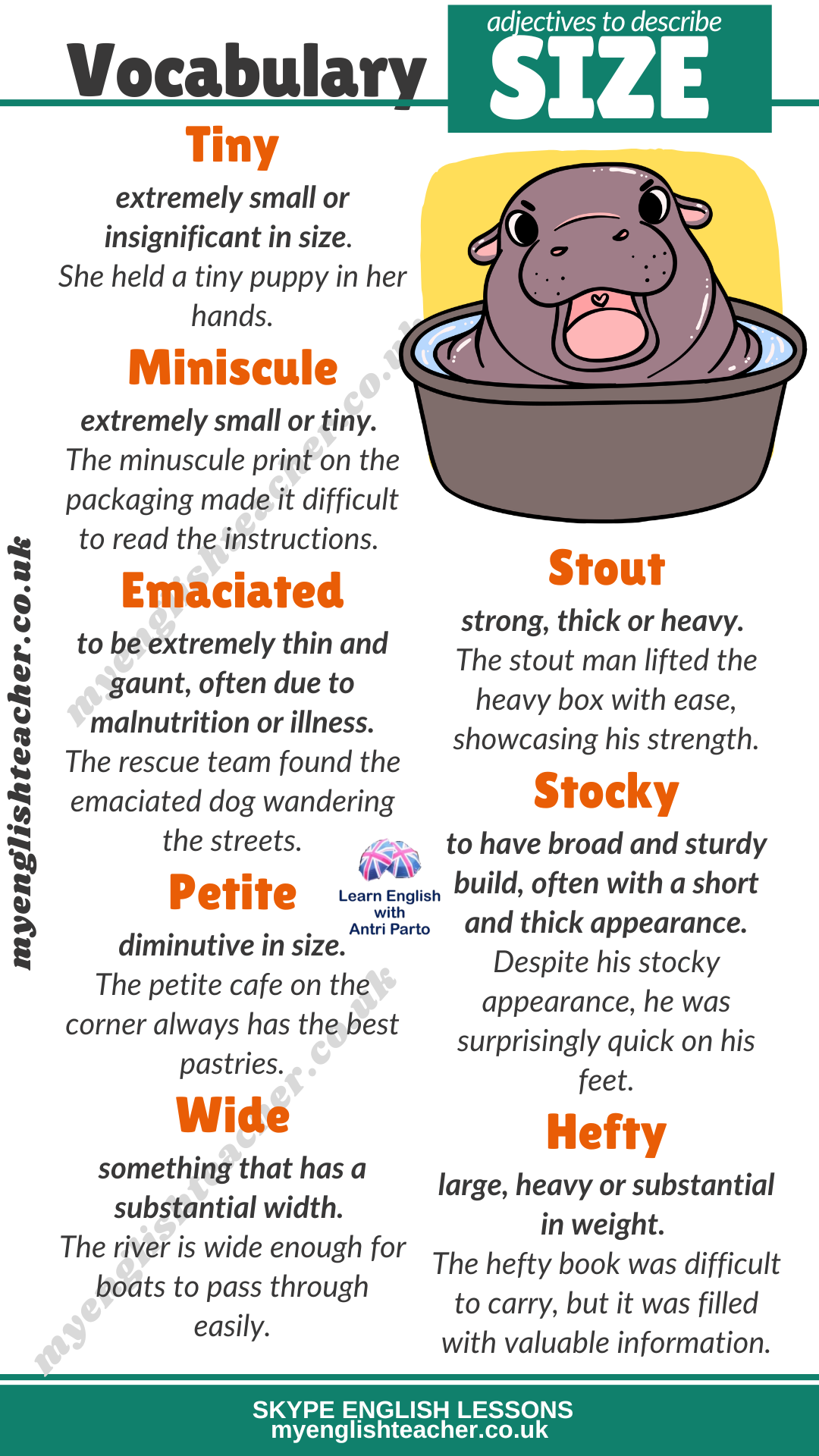 21 Adjectives to Describe Size - My Lingua Academy
