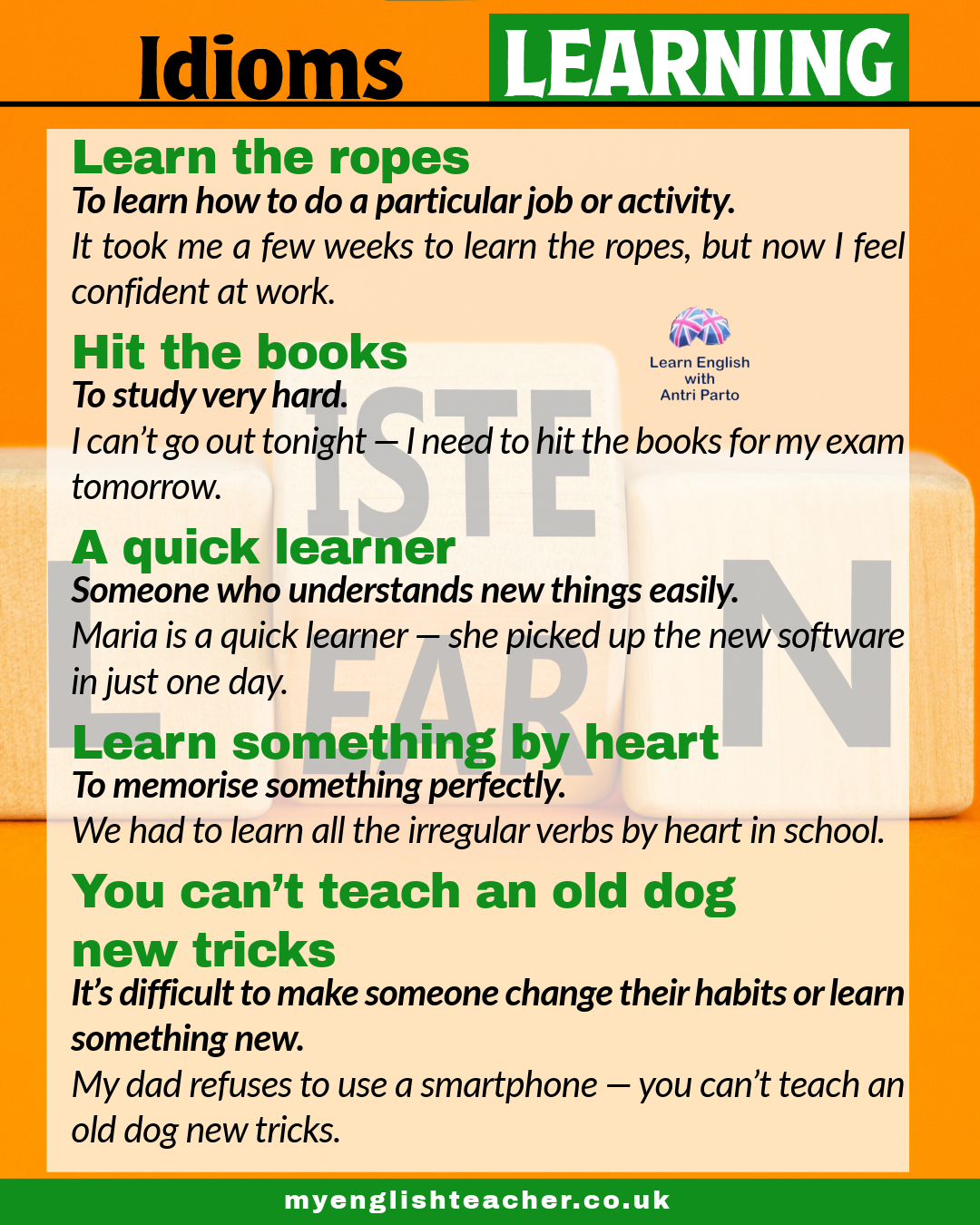 14 Idioms and Expressions about Learning - My Lingua Academy