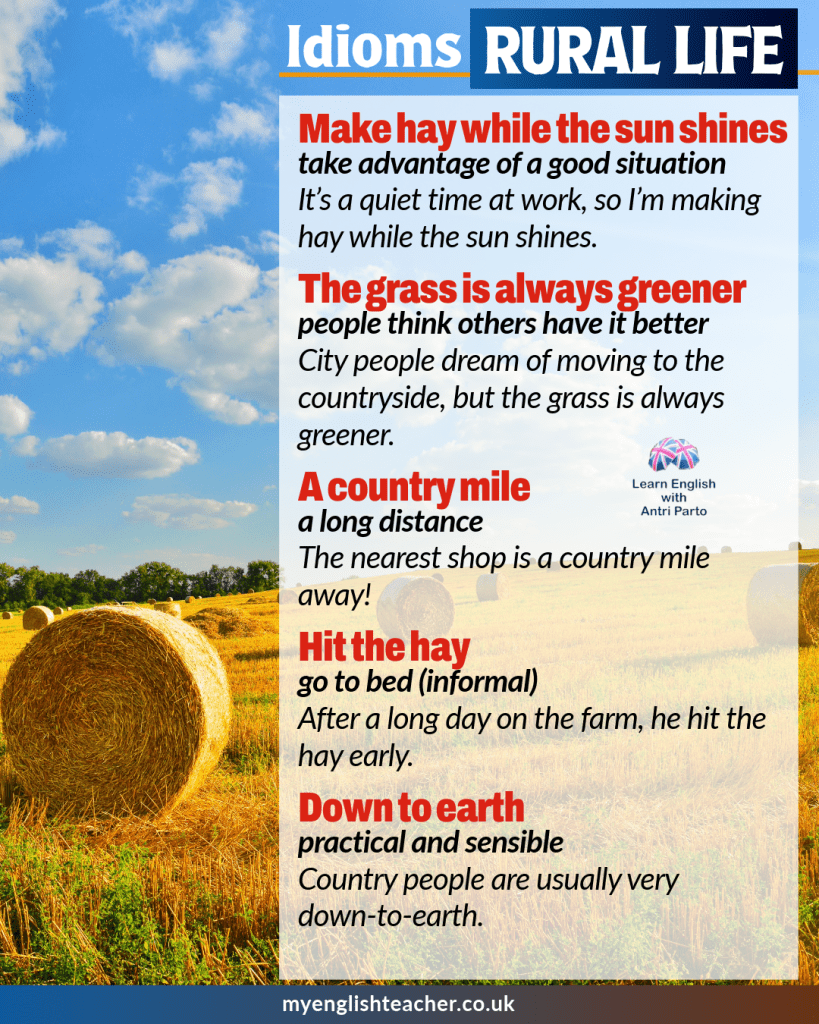 Vocabulary Related to Rural Life - My Lingua Academy