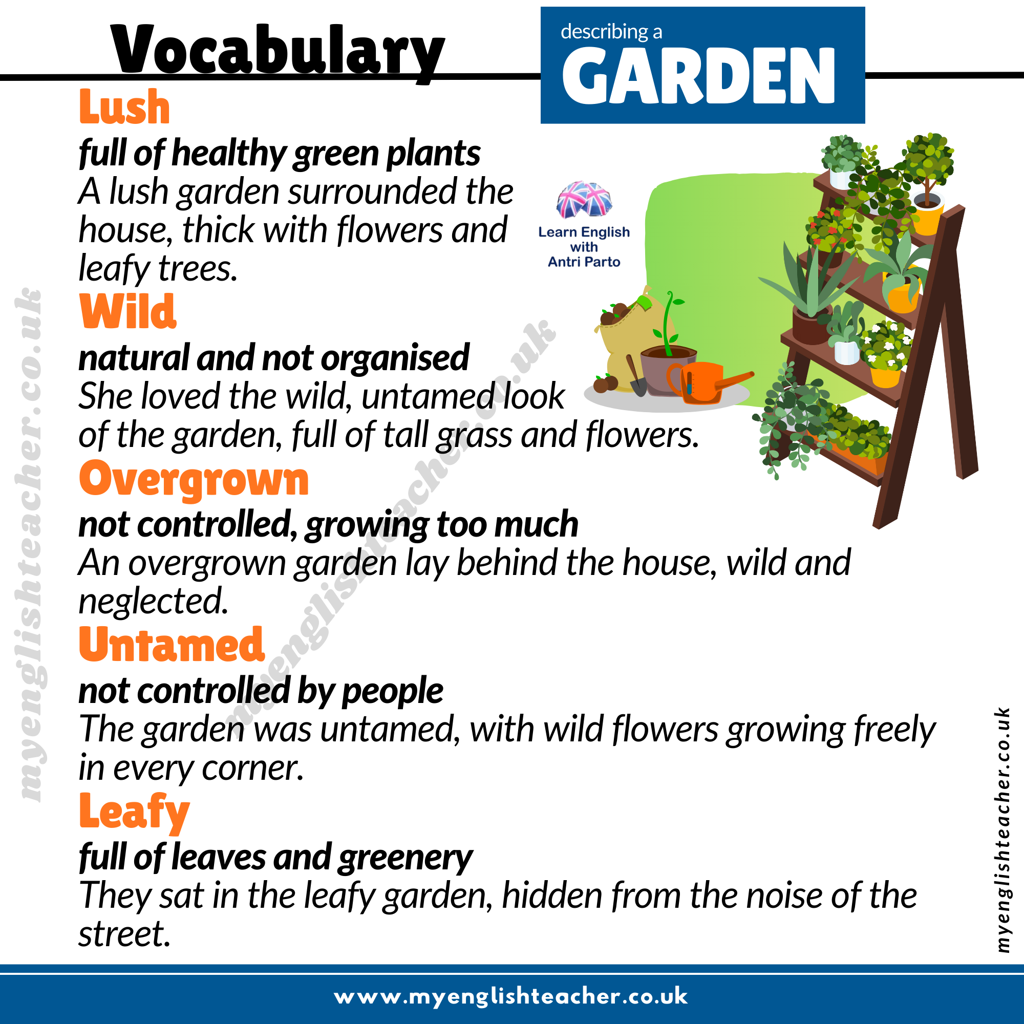Adjectives to Describe a Garden - My Lingua Academy